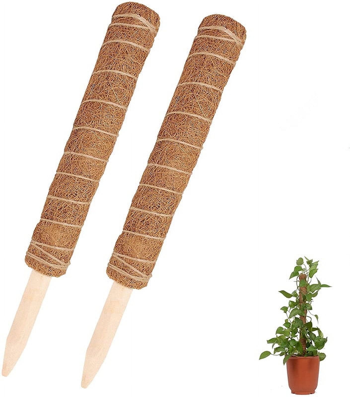Triani Indoor Moss Pole Plant Stakes Supports for Climbing Plants ...