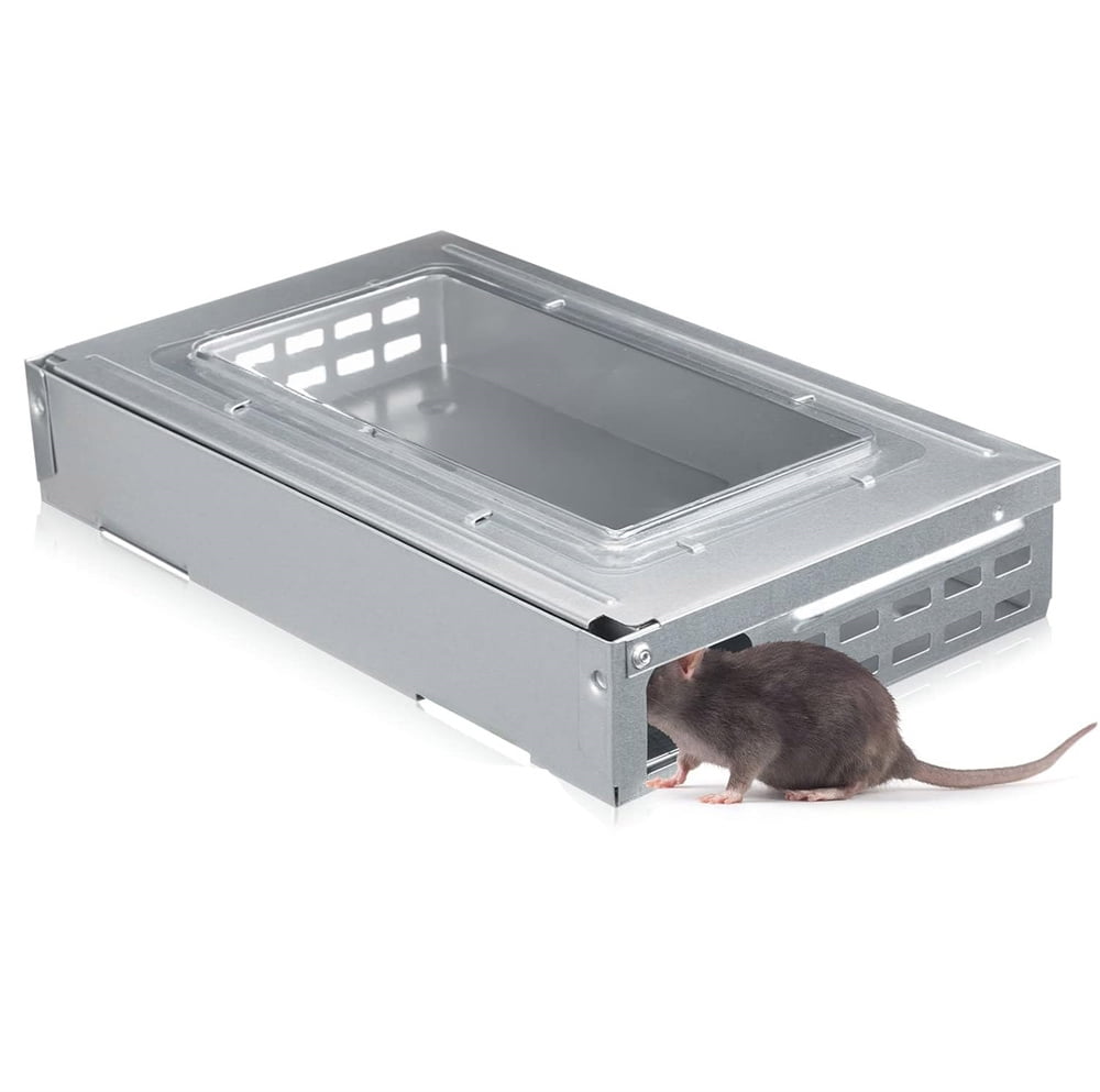 Triani Multi Catch Mouse Trap with See-Through Window Lid Rodent Humane ...