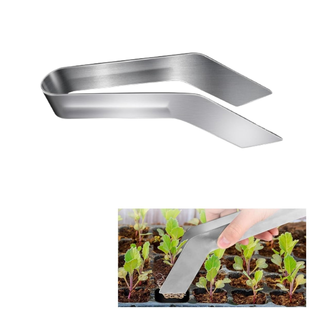 Trianu 1 Pcs Seedling Transplant Tong 8.7" Stainless Steel Gardening ...