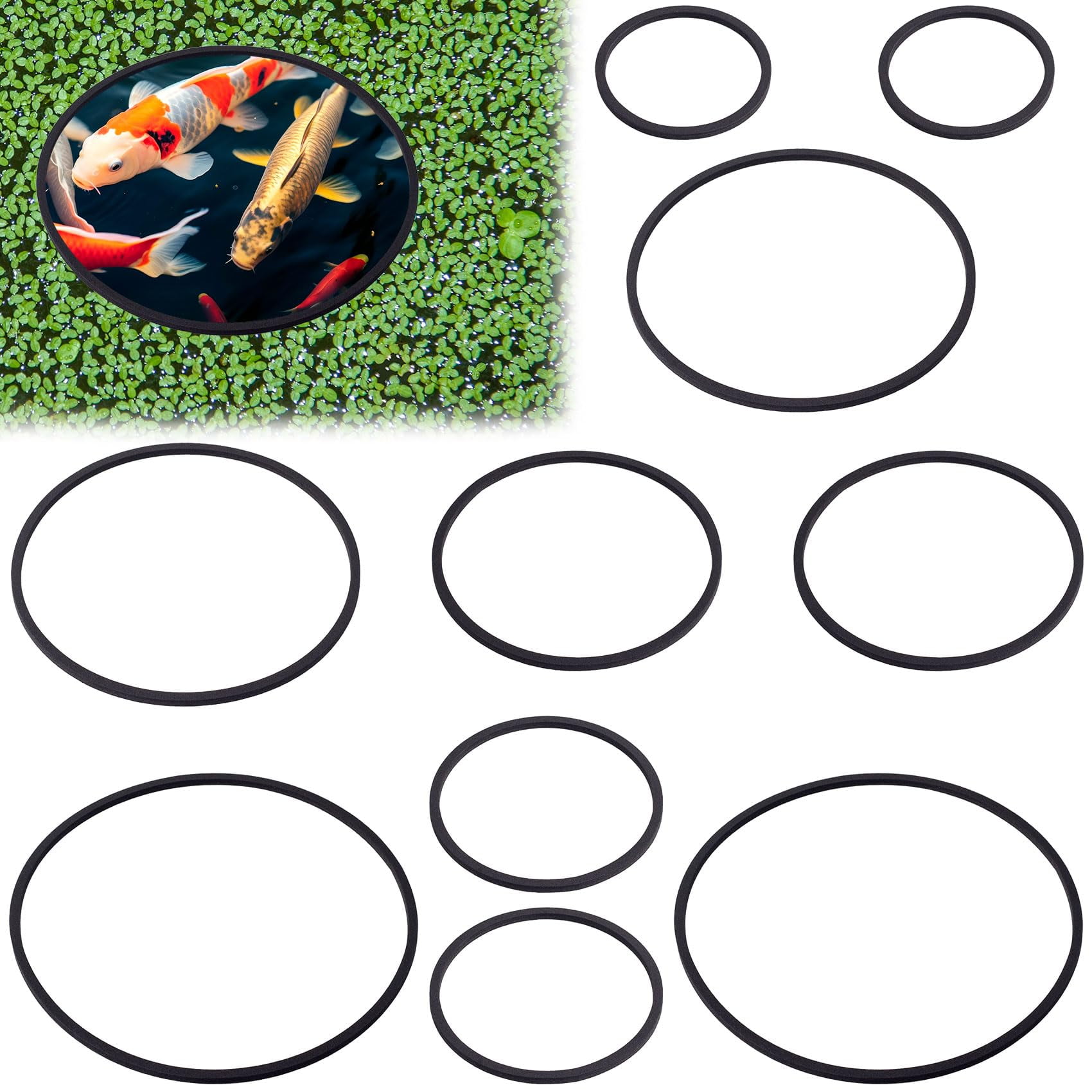 Trianu 10Pcs Fish Feeding Rings, Round Floating Aquarium Plant Corral ...