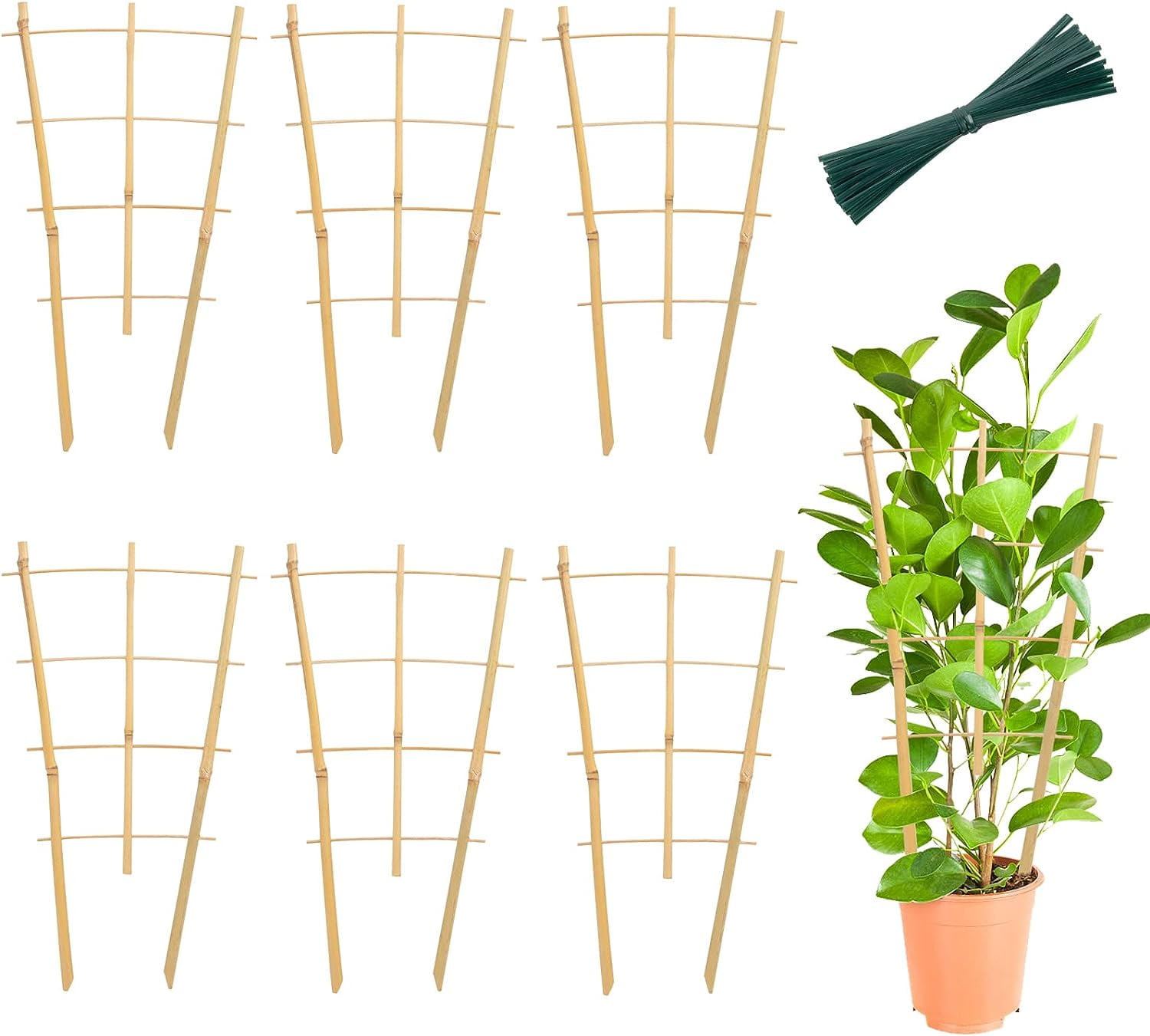 Trianu 16 inch Garden Stakes for Climbing Plants Indoor, 6 Pack Plant ...