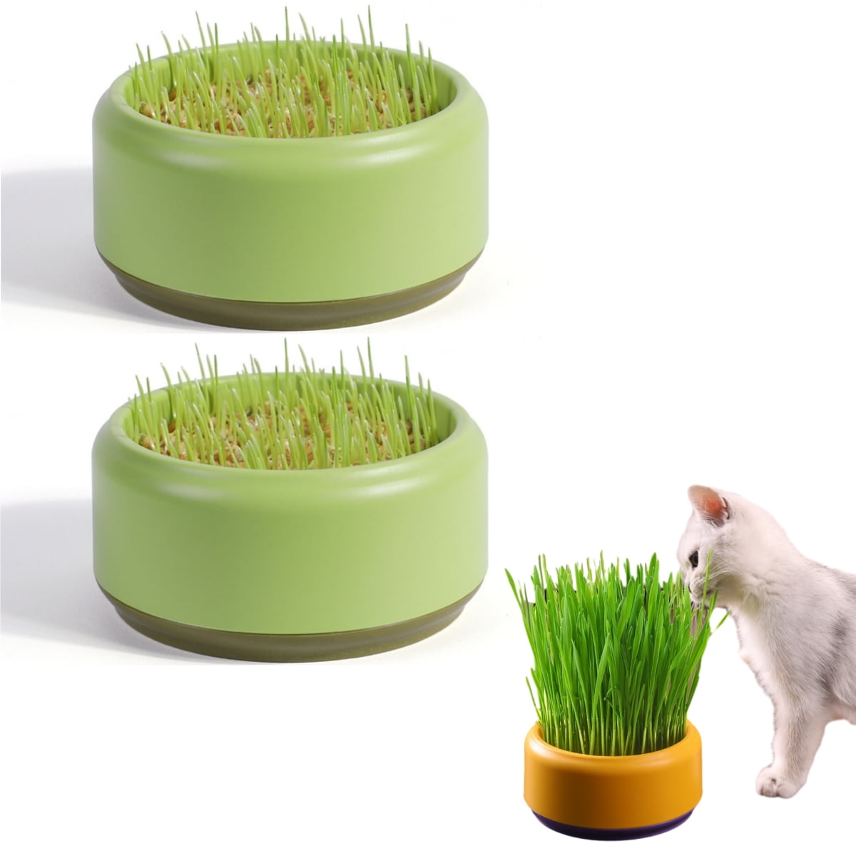 Trianu 2 Pack Cat Grass Planter, Hydroponic Cat Grass Planter, Cat ...