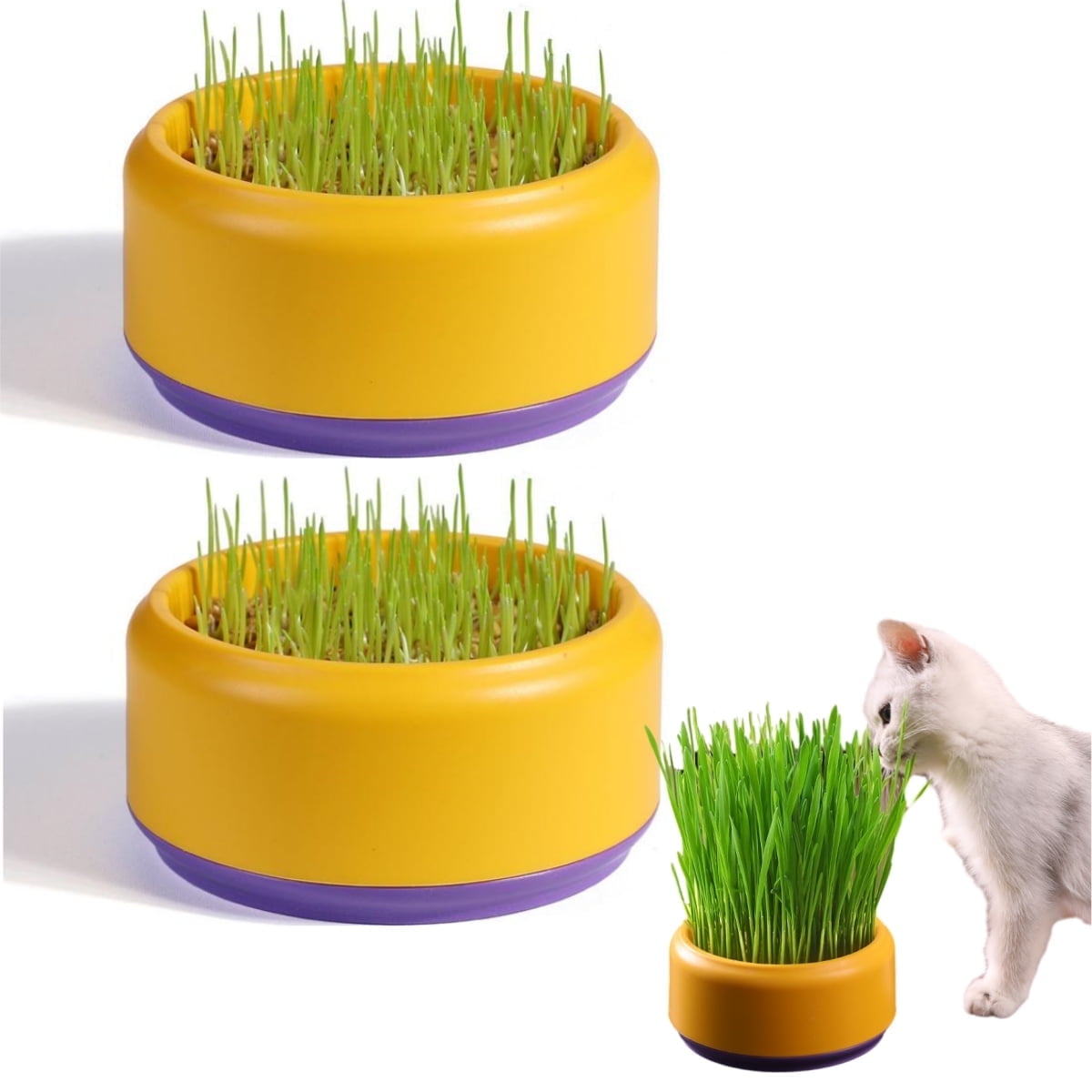 Trianu 2 Pack Cat Grass Planter Self Watering Pots Cat Plant Nursery ...