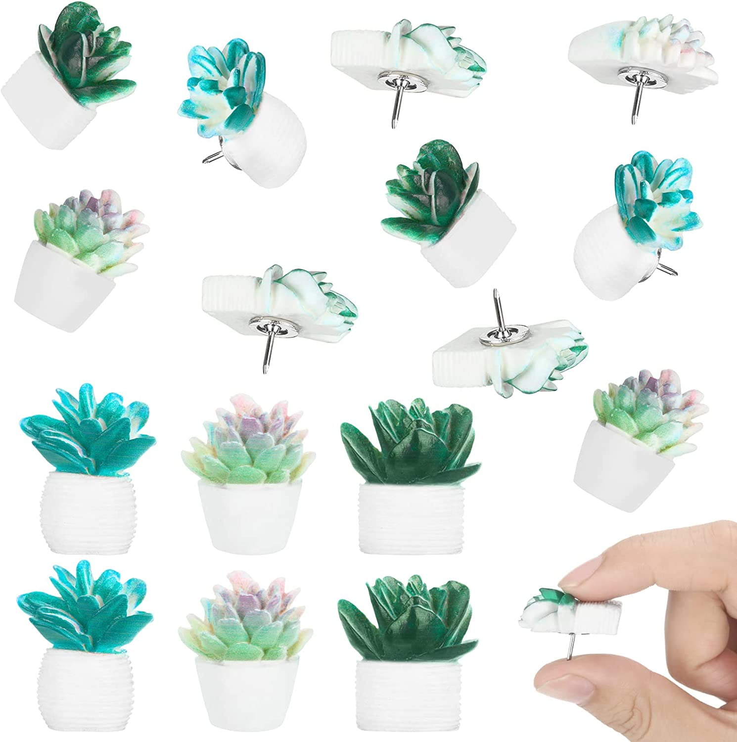 Trianu 20 Ps Cute Succulent Plants Decorative Push Pins Colorful Floret ...