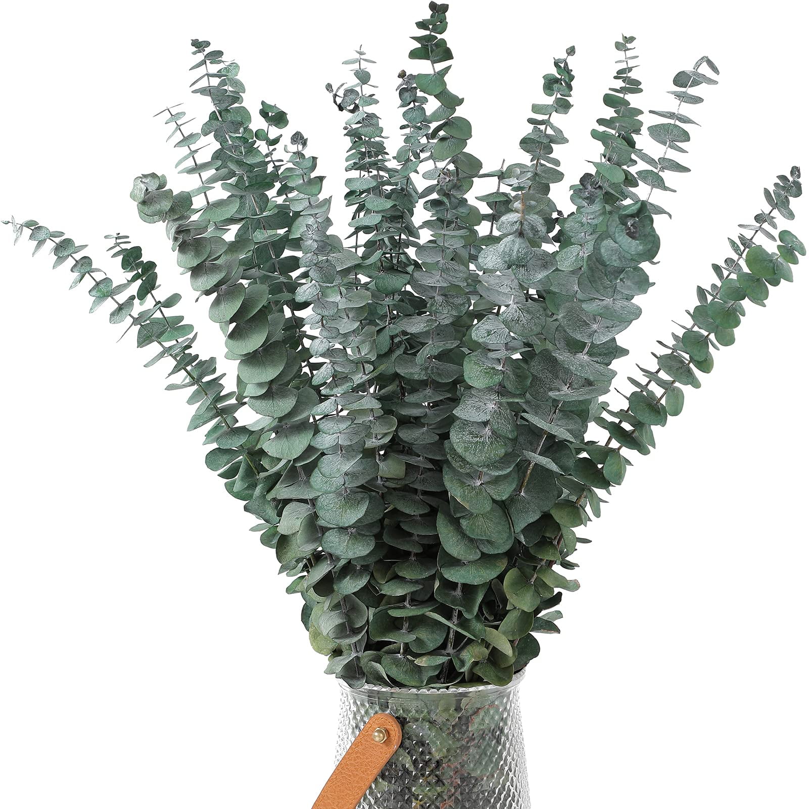 Trianu 20Pcs Dried Eucalyptus Bundle - 17'' Real Stems for Home Decor ...