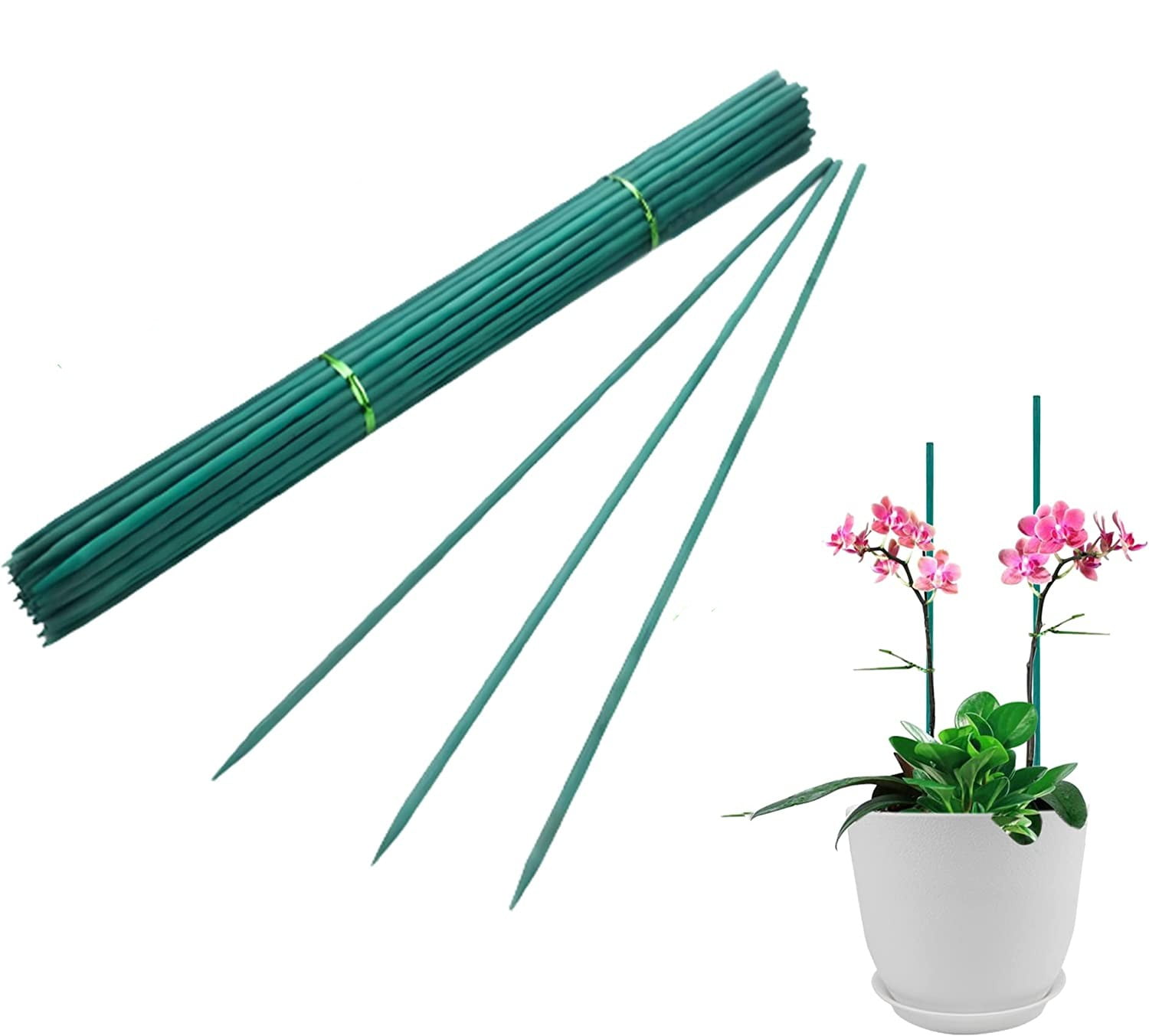 Trianu 20Pcs Garden Plant Stakes 15.7 in Green Bamboo Sticks Decorative ...