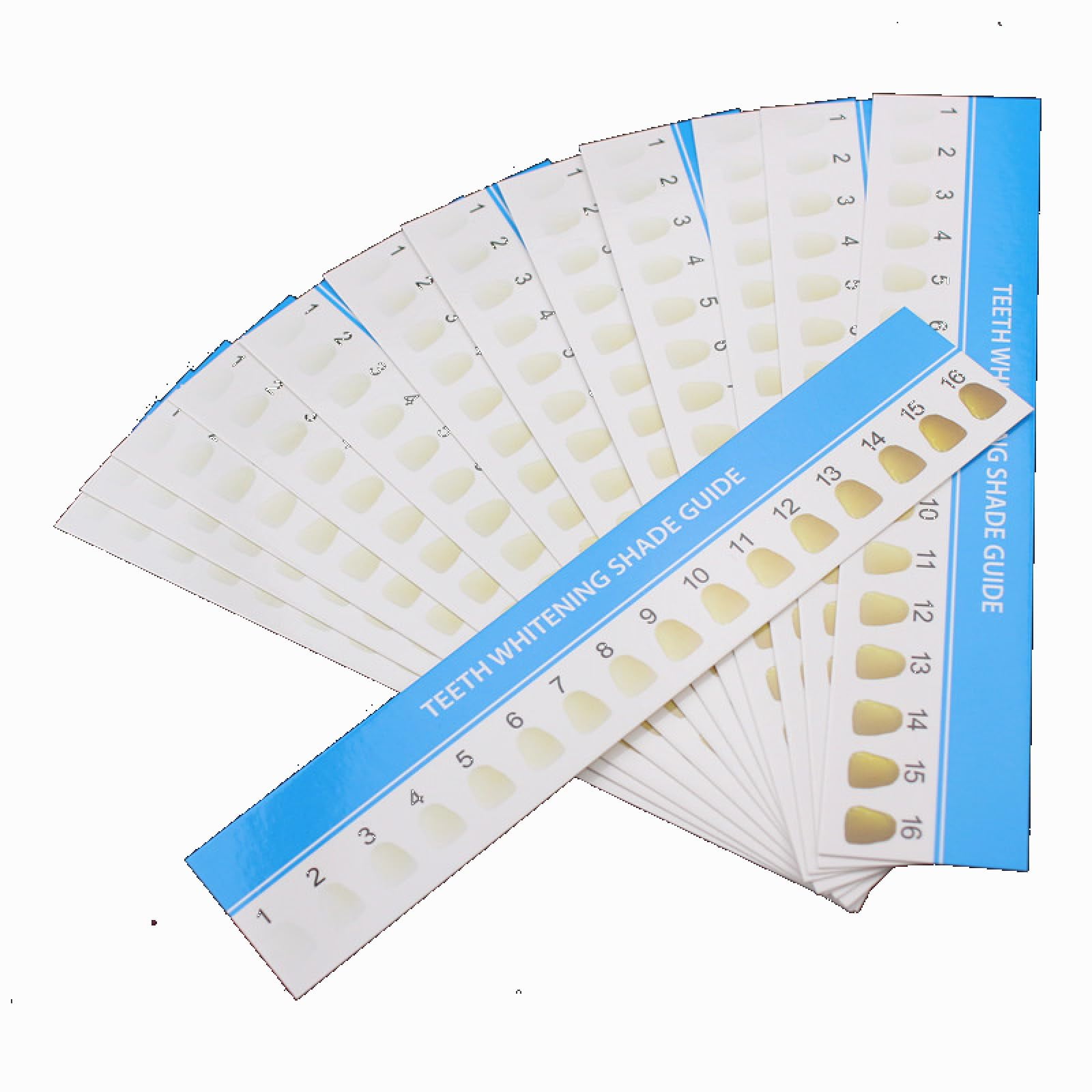 Trianu 20Pcs Teeth Whitening Shade Guide Paper Tooth Bleaching Chart ...