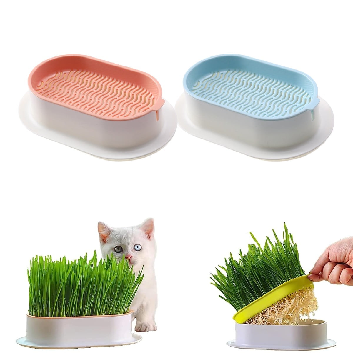 Trianu 2Pcs Hydroponic Cat Grass Planter, Soil Free, No Dirt No Mess No ... Trianu 2Pcs Hydroponic Cat Grass Planter, Soil Free, No Dirt No Mess No ...