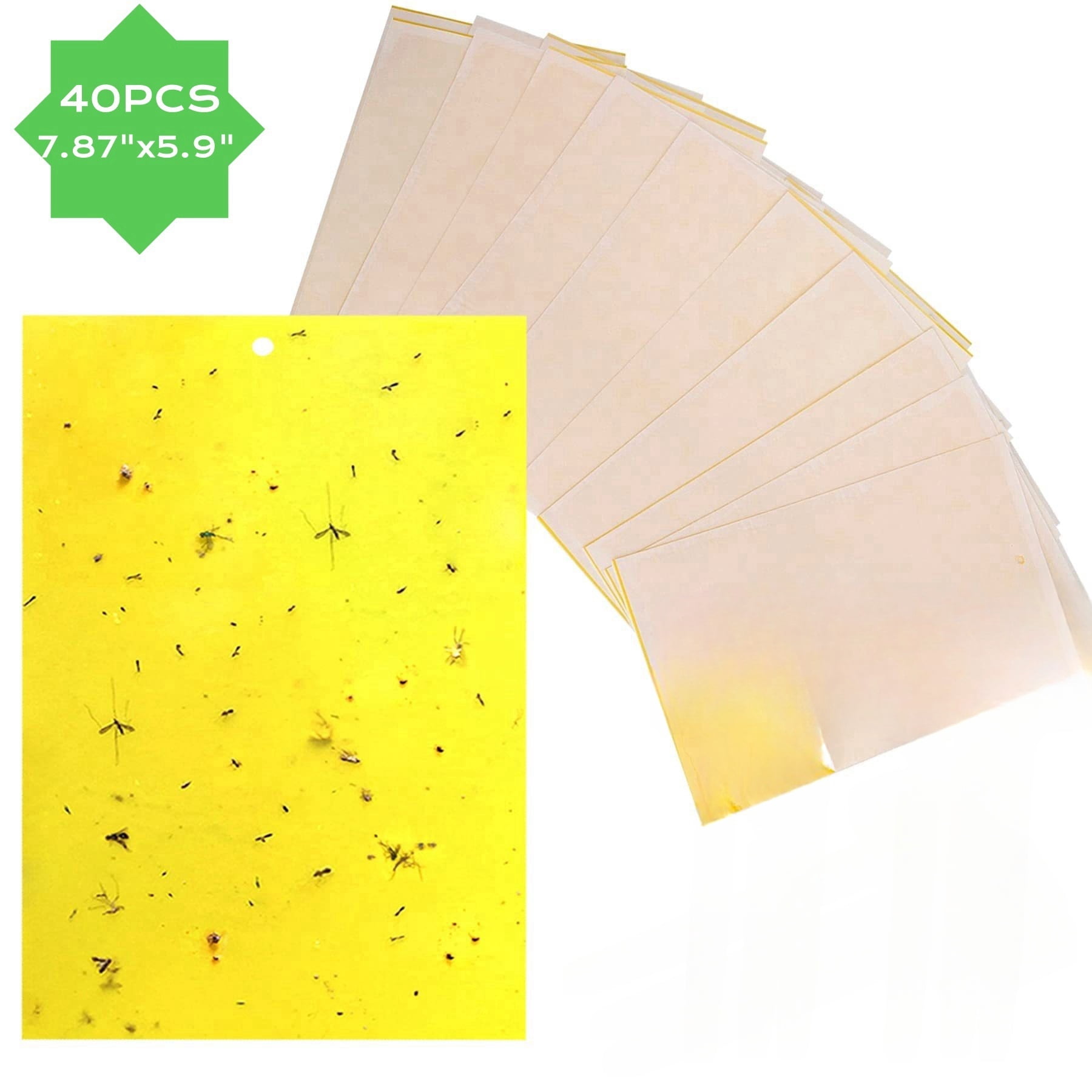 Trianu 40 Pcs Sticky Traps for Gnats Dual Sided Fruit Fly Sticky Traps ...