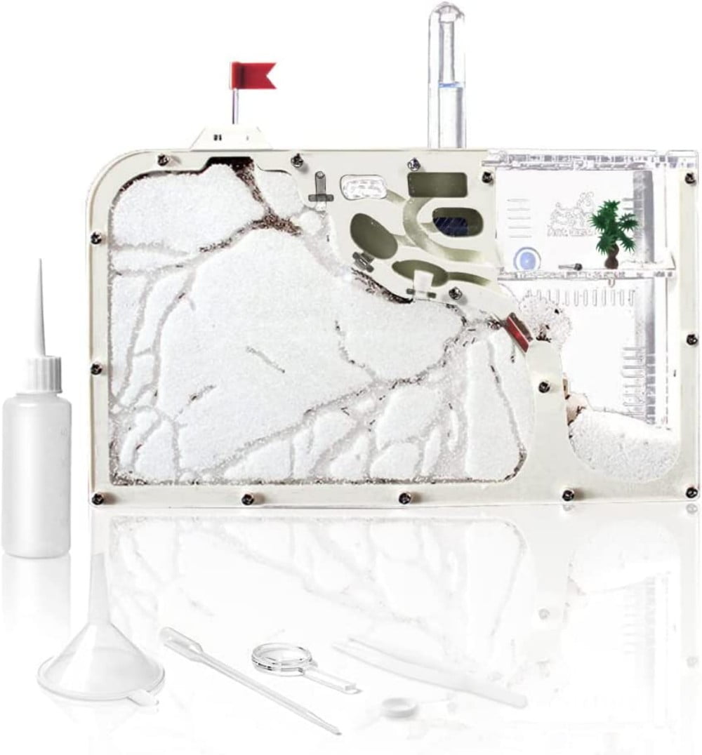 Trianu Ant Farm Castle, Ant Nest Farm for Live Ants, Ant Colony ...