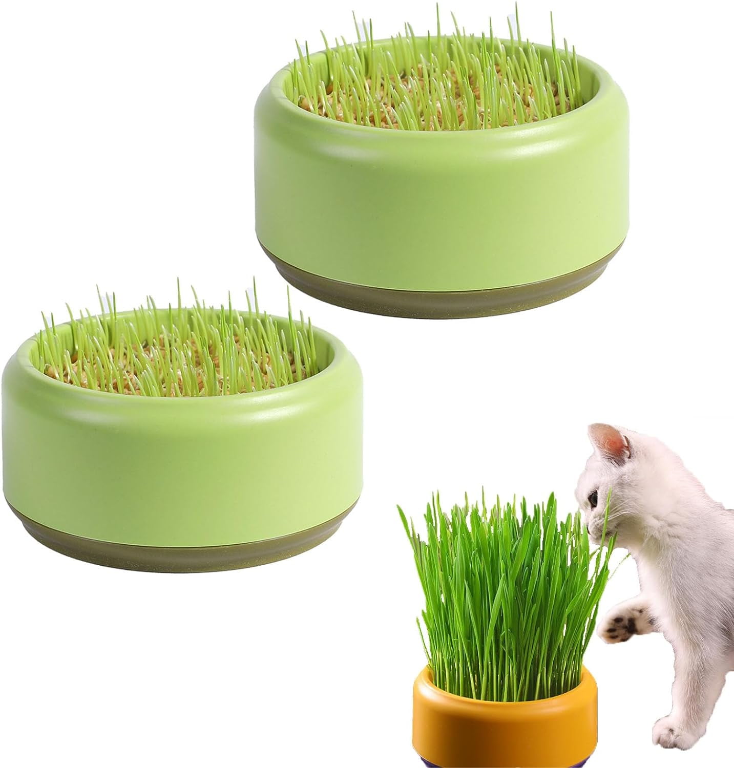 Trianu Cat Grass Planter 2 Pack, Hydroponic Cat Grass Box, Cat Grass ...