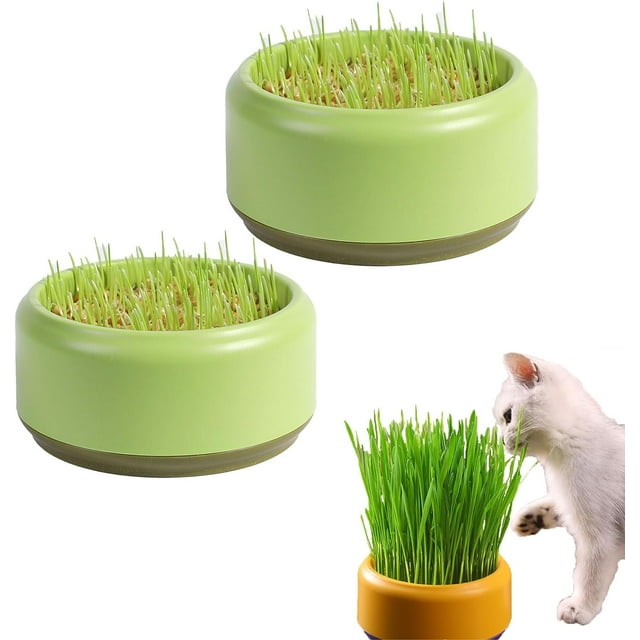 Trianu Cat Grass Planter 2 Pack, Hydroponic Cat Grass Box, Cat Grass ...