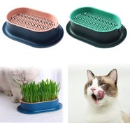 Cat A'Bout Freshly Grown Cat Grass Plus, Natural Digestive Aid ...