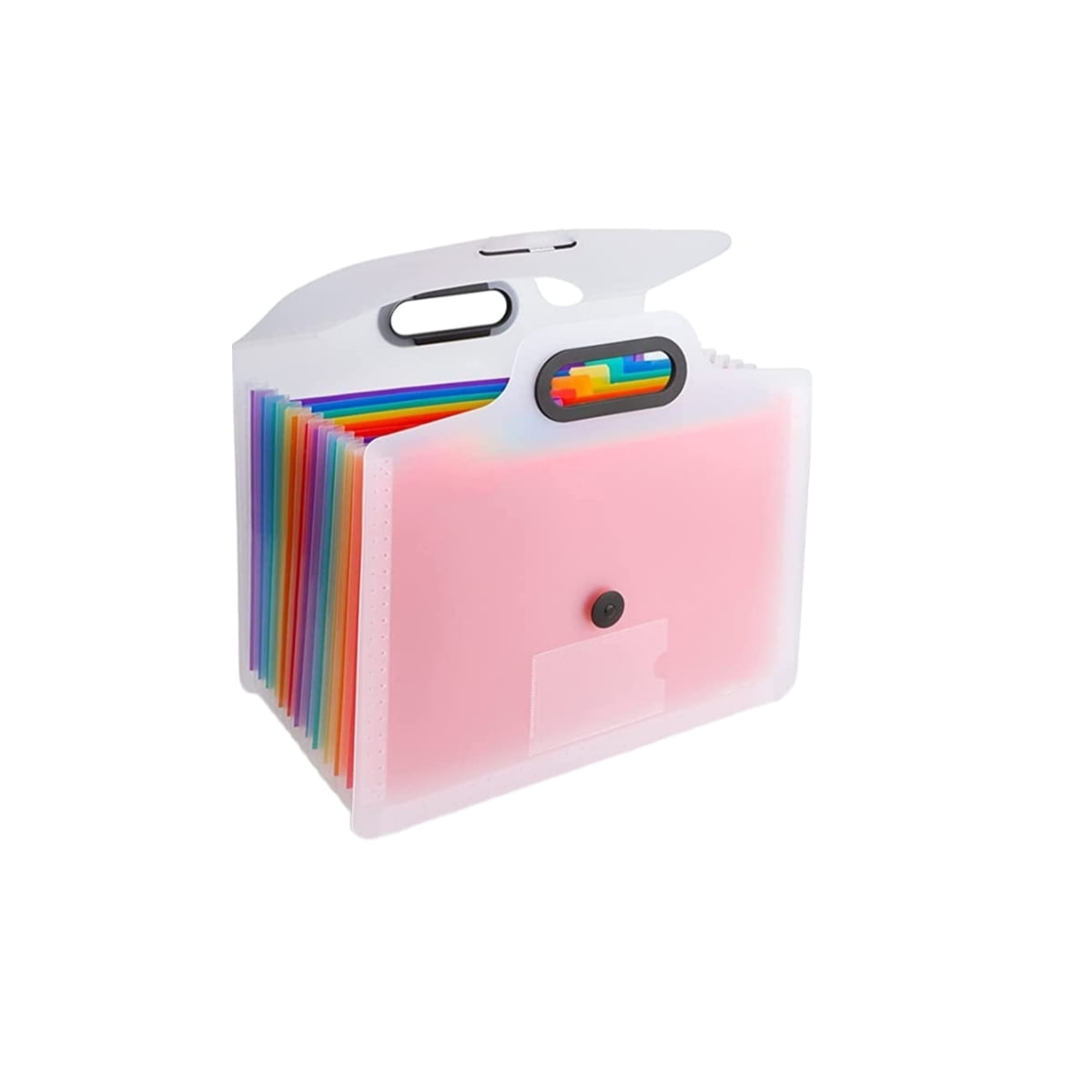 Trianu Portable 13 Pocket Expanding File Folder with Handle and Labels ...