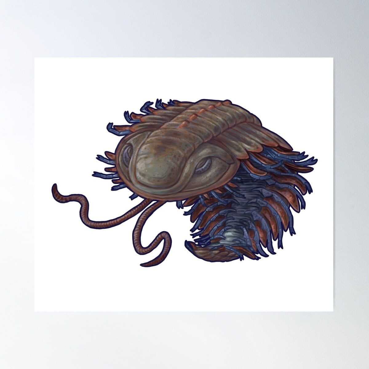 Triarthus Eatoni (Trilobite) Poster Wall Art, Modern Wall Decor For ...