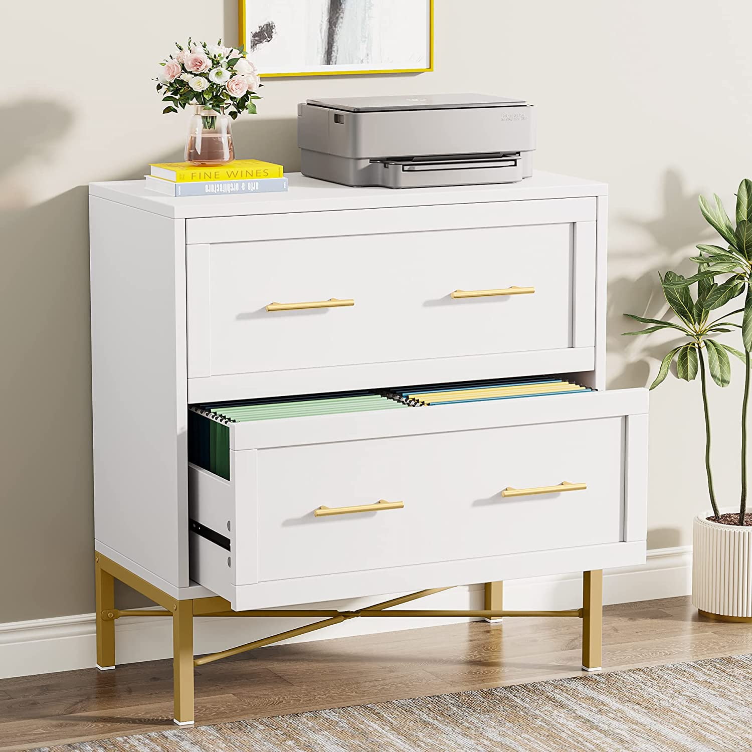 Tribesigns 2 Drawer File Cabinet, Modern Lateral Filing Cabinet for ...