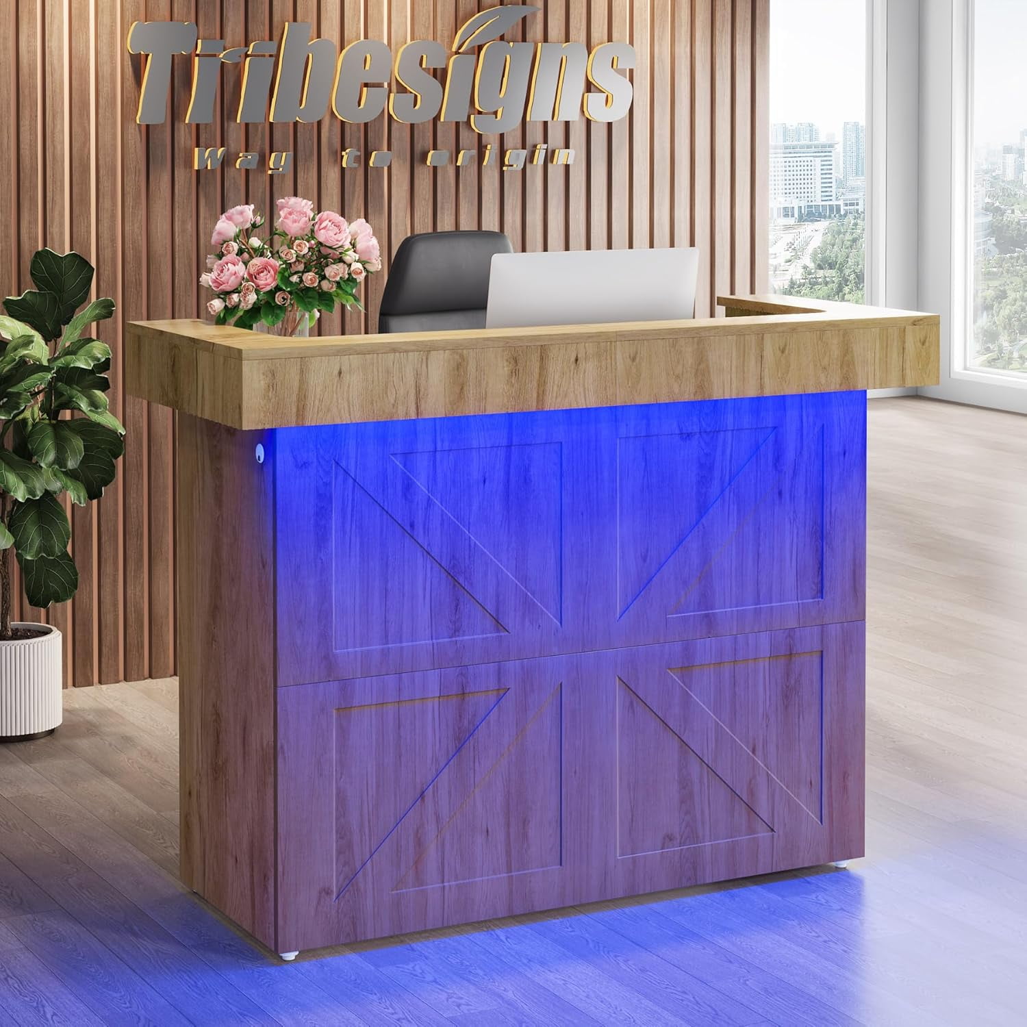 Tribesigns Reception Desk with Light, 55-Inch Front Desk with 2 Grommets, Modern Retail Counter ...