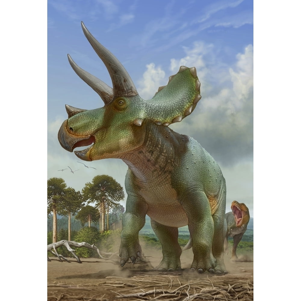 Triceratops running away from a T-rex chasing after it. Poster Print by ...