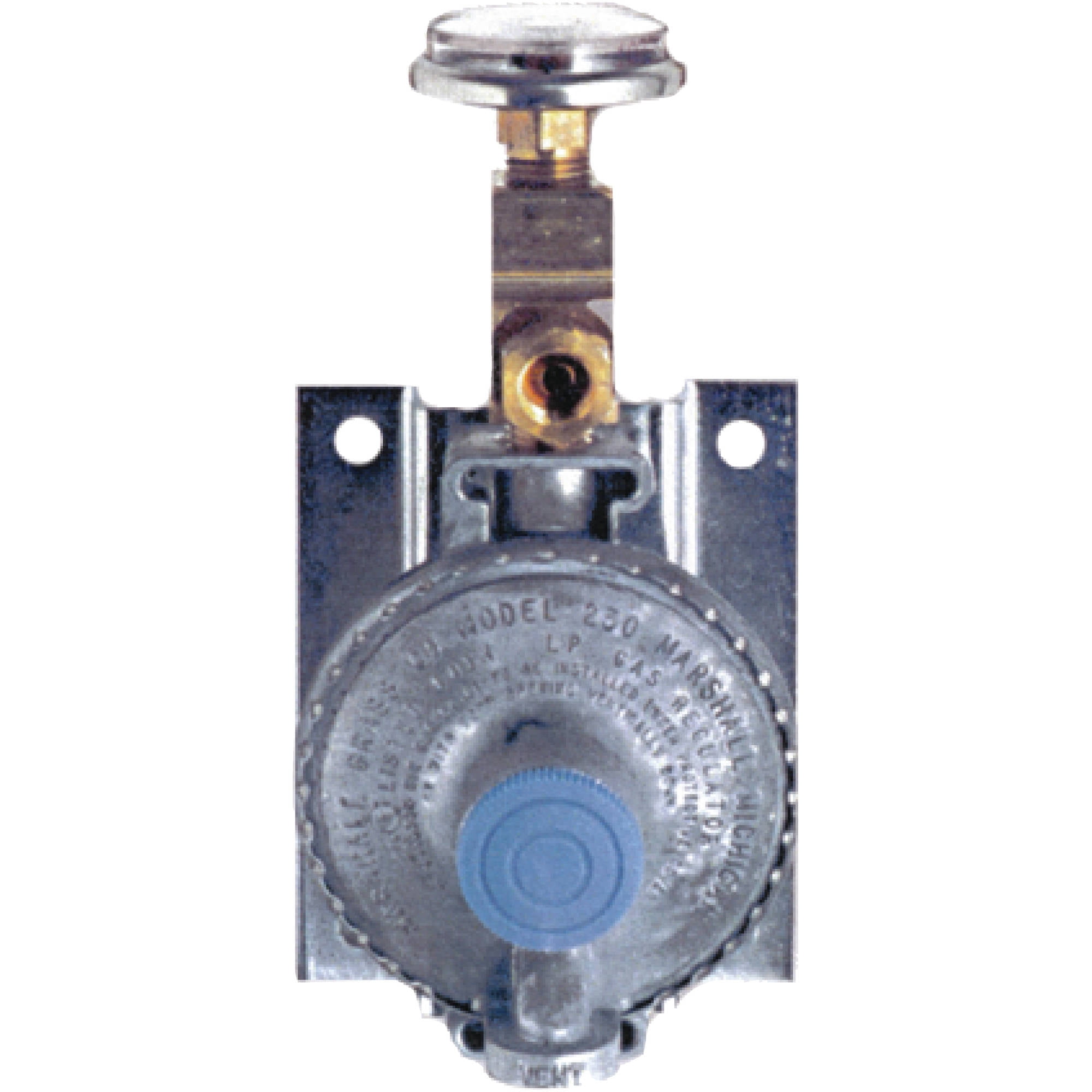 Trident 1211-1401 Marine LPG Wall Mount Single Stage Regulator with 20 ...