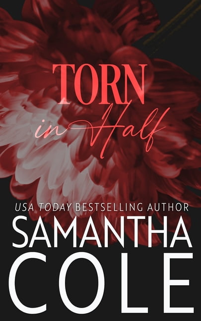 Trident Security Torn in Half, Book 12, (Paperback) - Walmart.com