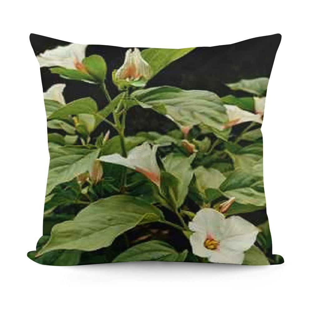 Trillium Flowering Plants-Woodlot-MichiganDavid R Frazier Design ...
