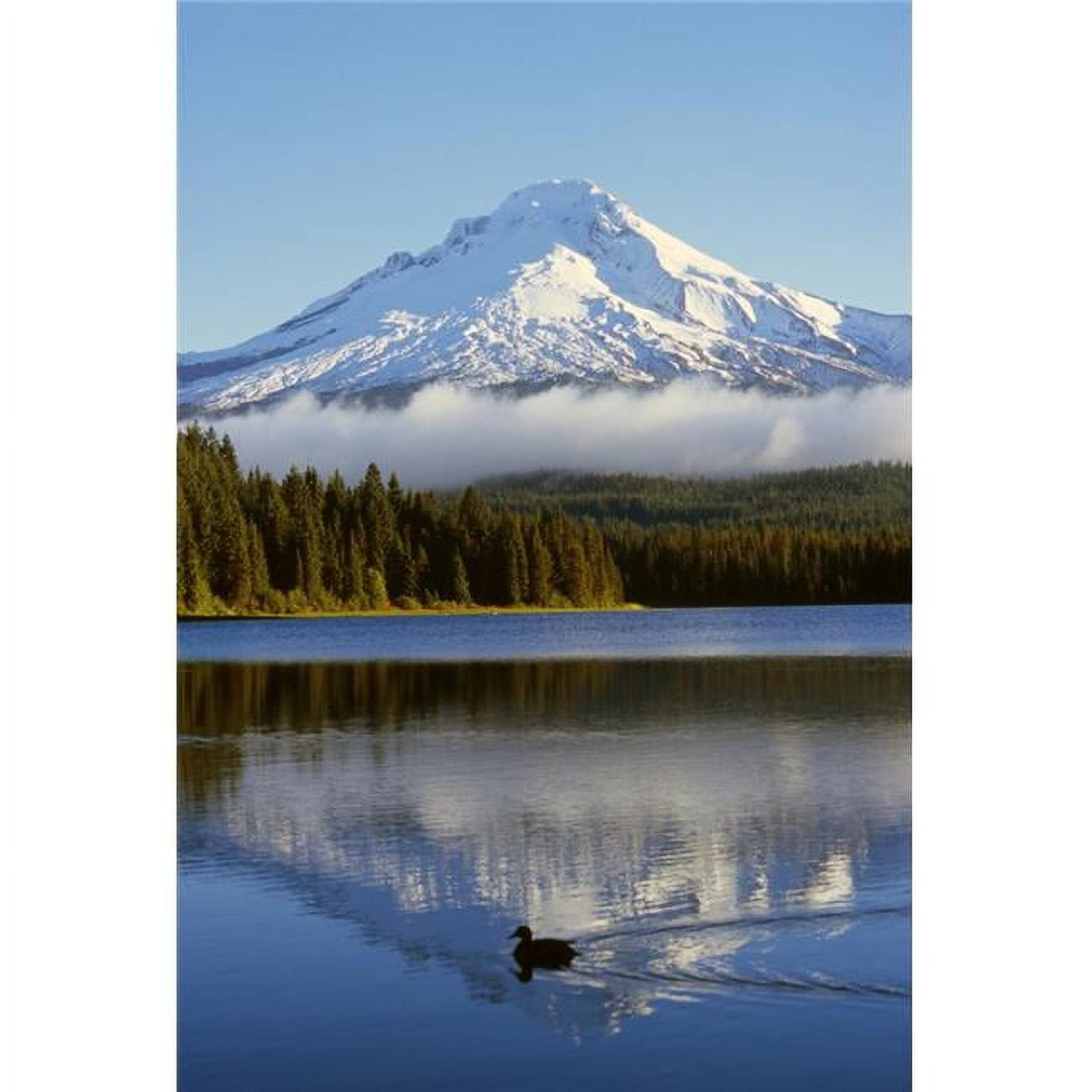 Trillium Lake with Mount Hood Reflection Mount Hood National Forest ...