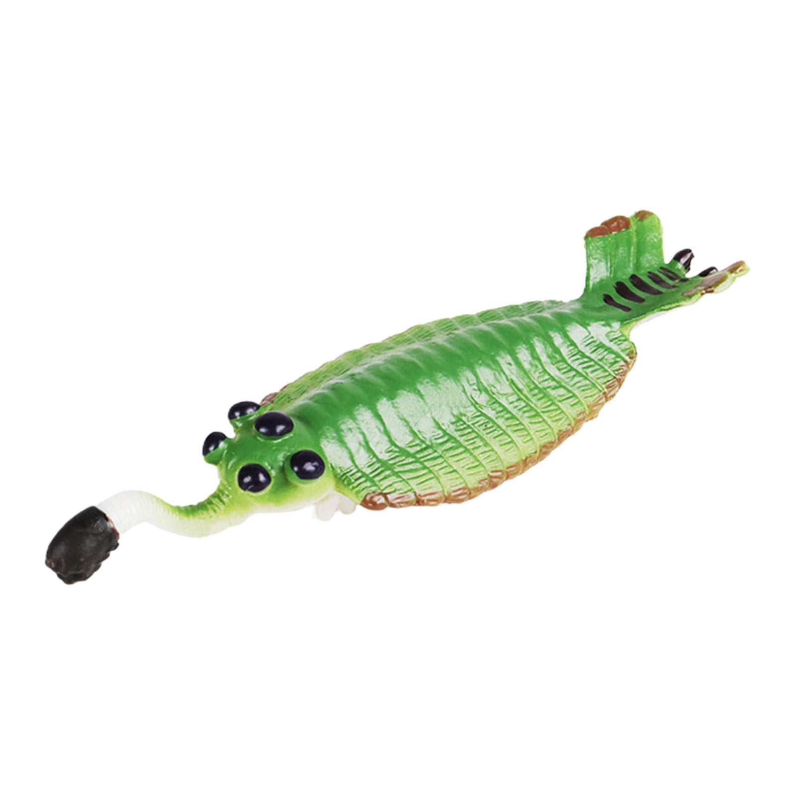 Trilobite Figurine Cambrian Period Ocean Animals Clear Texture Solid ...