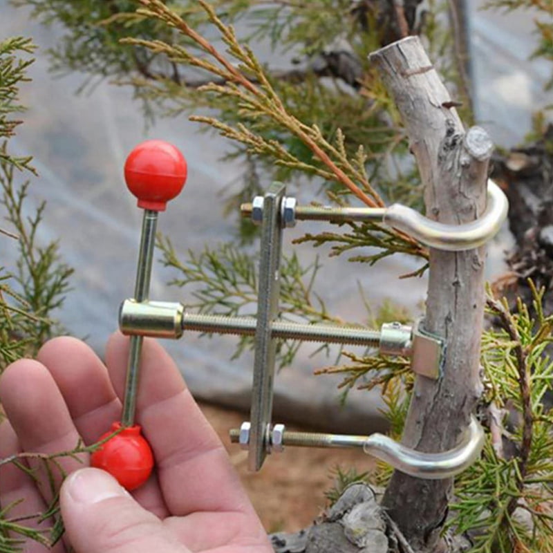 Trimmer Garden Trunk Adjuster Plant Branches Bender Plants Outdoor ...