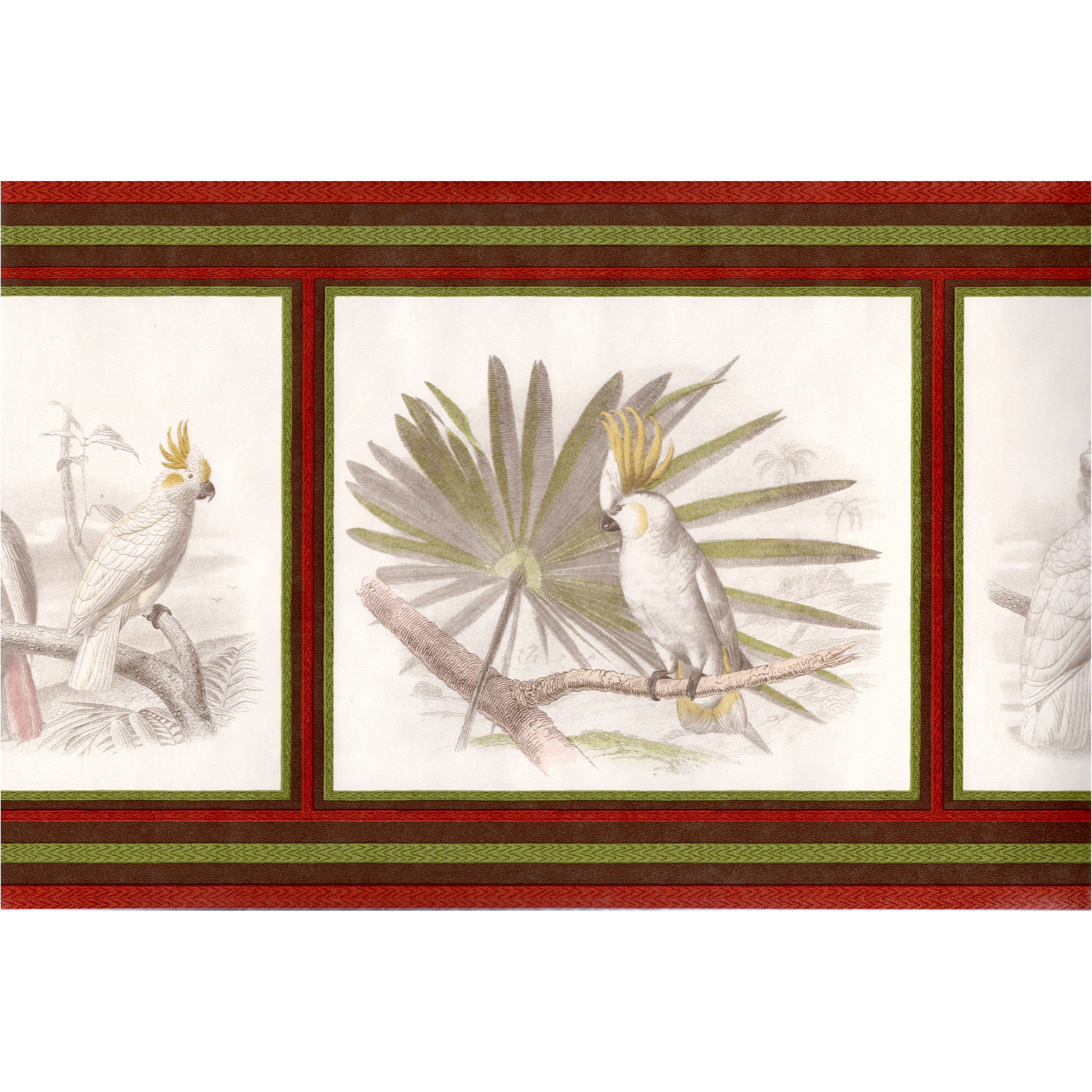 Trimz Exotic Tropical Bird Wallpaper Border - Red, Brown, Green, 15' L ...