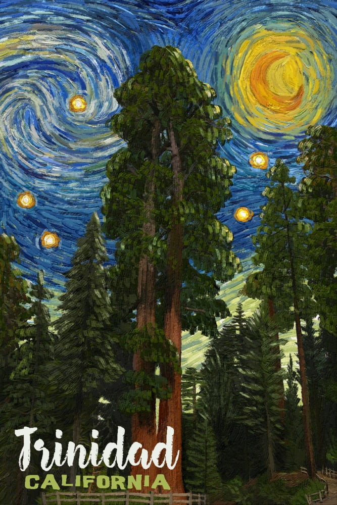 Trinidad, California, Starry Night National Park Series (9x12 Wall Art ...