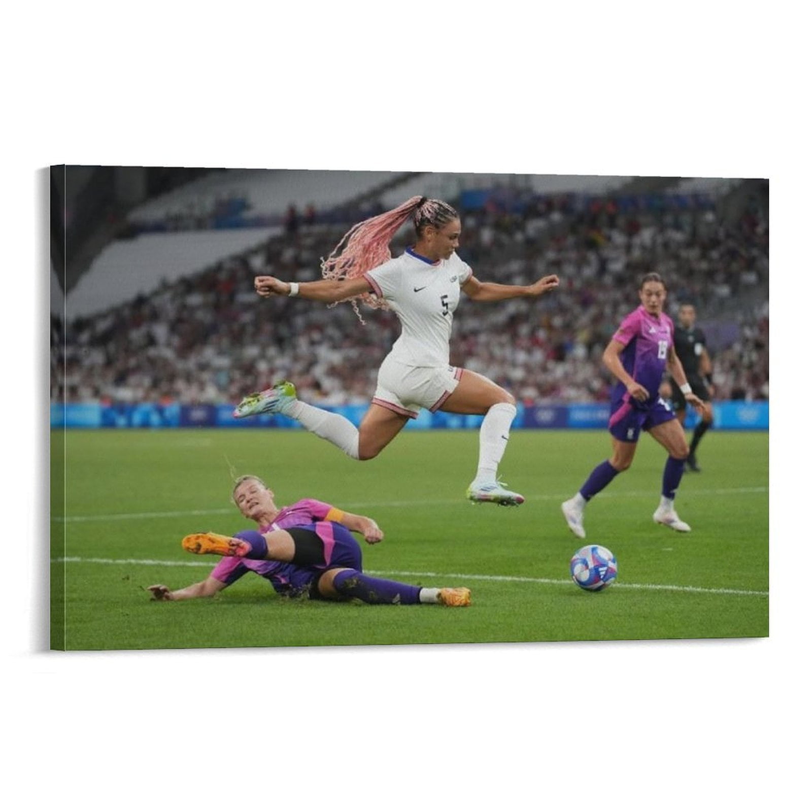 Trinity Rodman Canvas Poster Canvas Poster Wall Art Picture Prints ...