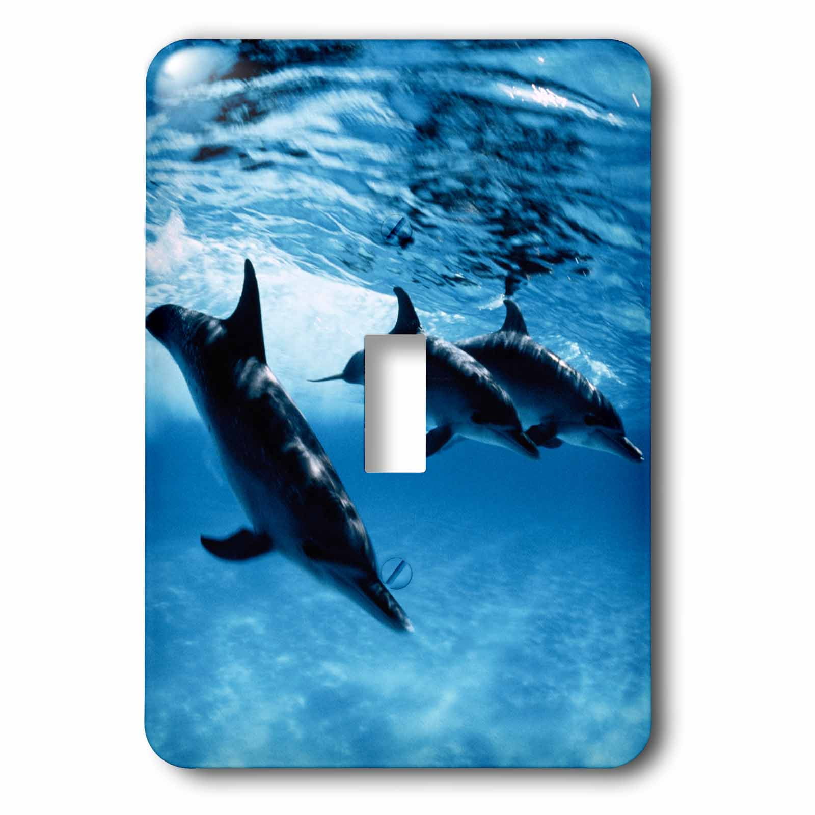 Trio of Dolphins single toggle switch lsp-206330-1 - Walmart.com