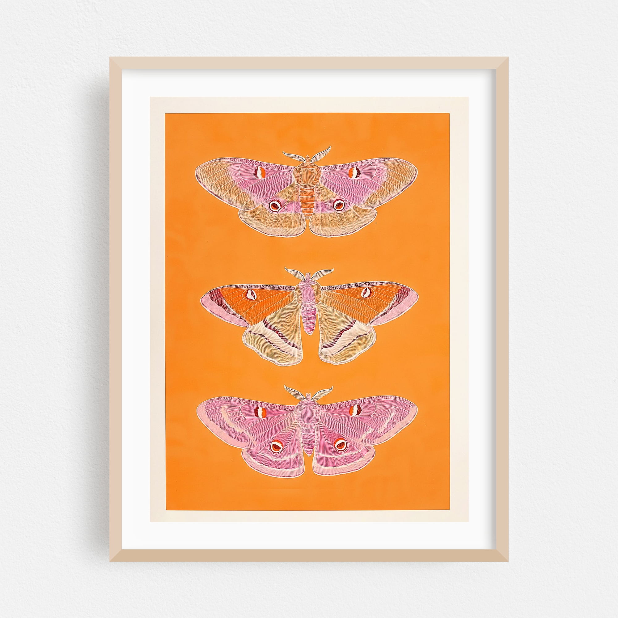 Trio of Pink Butterflies - Illustration Insect Wildlife Art Deco ...