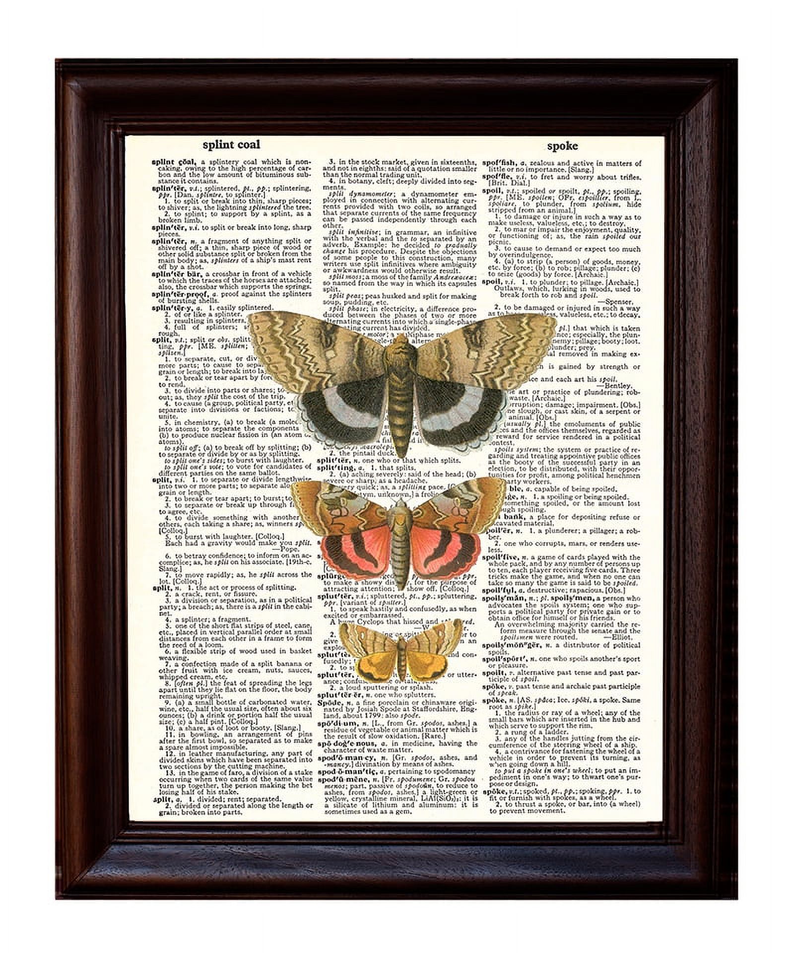 Triple Moths - Dictionary Art Print Printed On Authentic Vintage ...