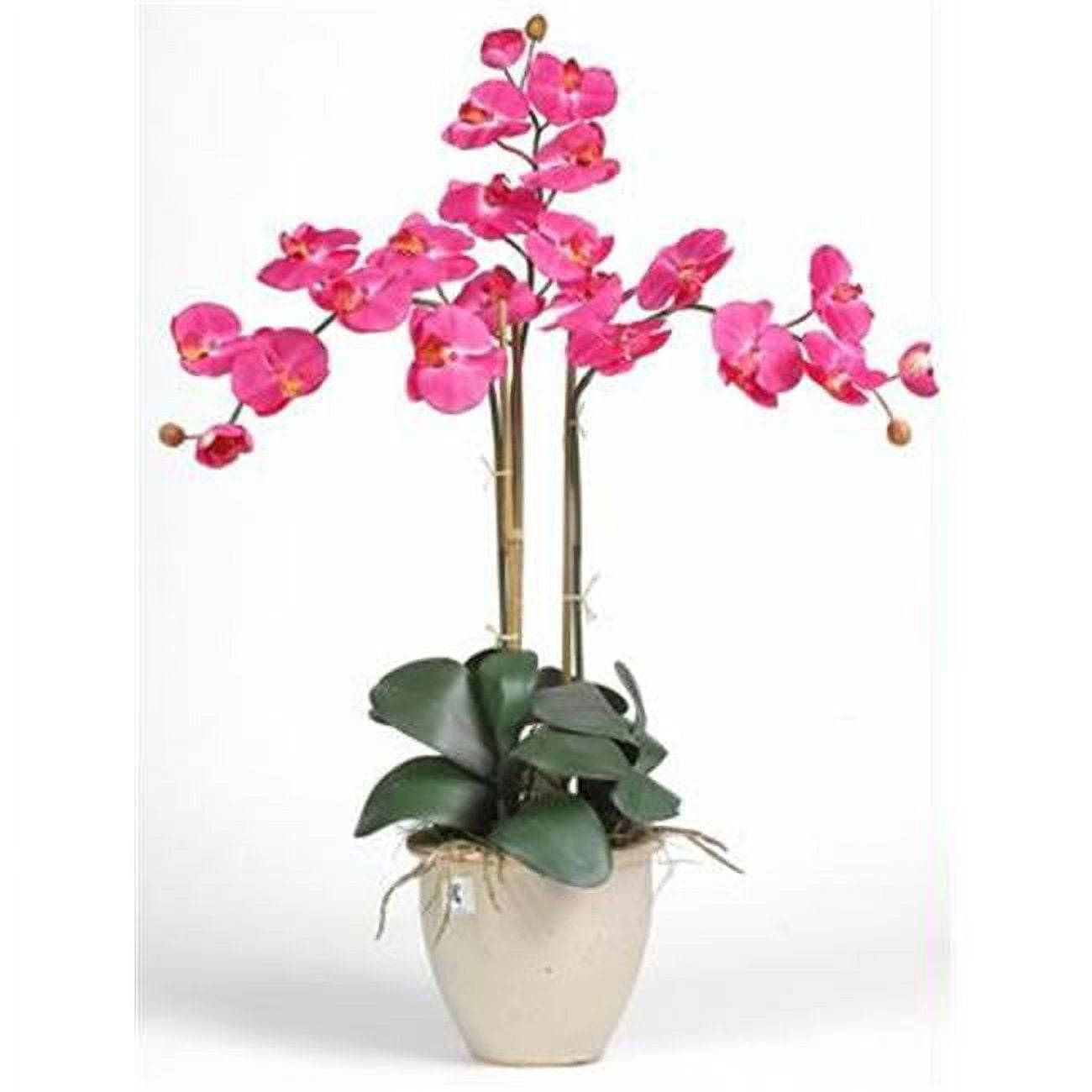 Triple Stem Phalaenopsis Silk Orchid Arrangement - Walmart.com