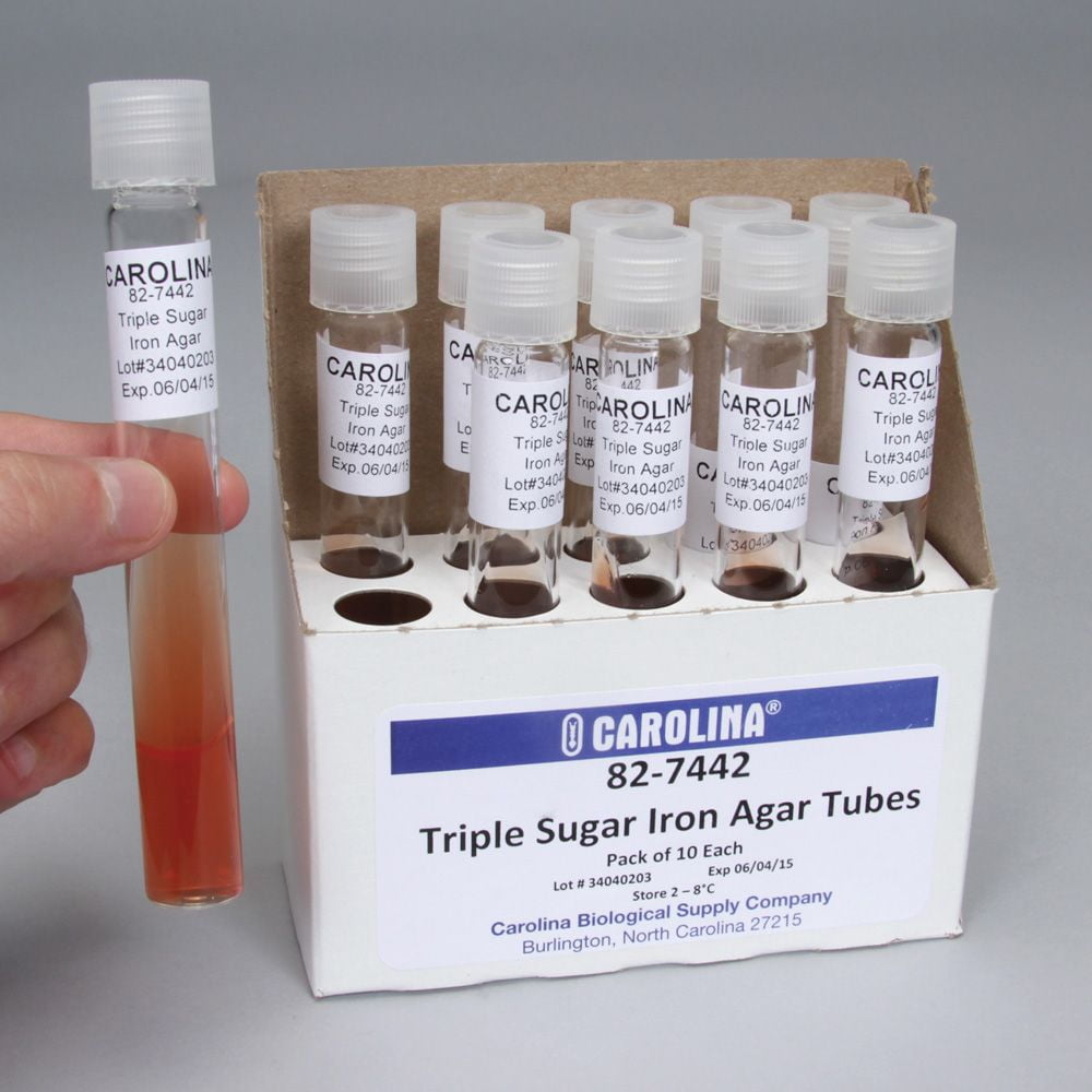 Triple Sugar Iron Agar, Slant, Prepared Media Tubes, Pack Of 10 ...