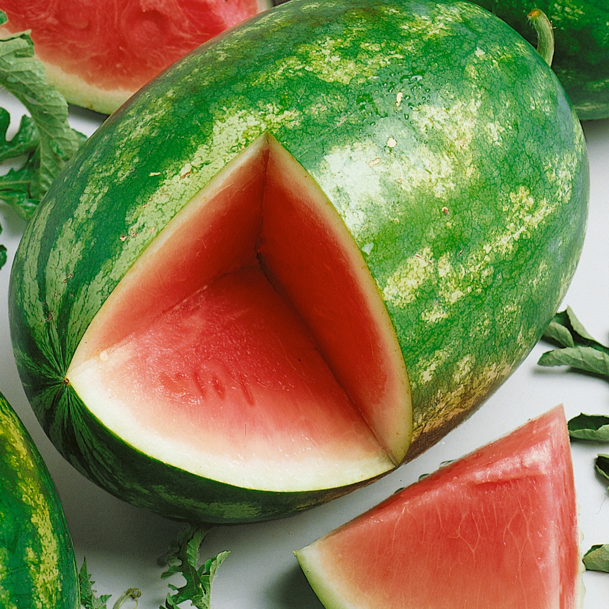 Triple Yield F1 Hybrid Watermelon ~100 Seeds – Seedless Crimson Sweet ...