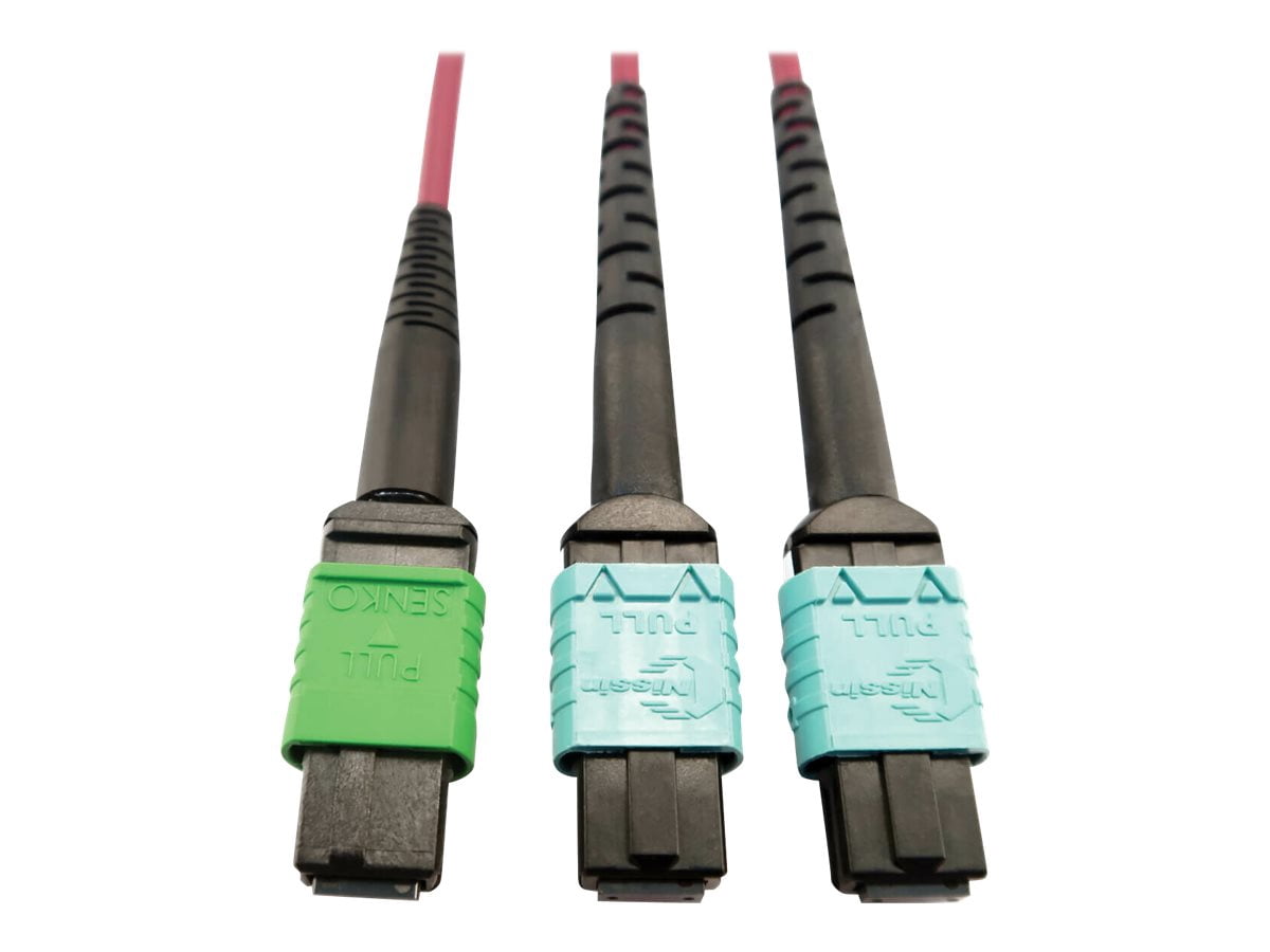 Tripp Lite 5 m MTP & MPO-APC to x2 12F MTP & MPO-UPC Female to Female ...