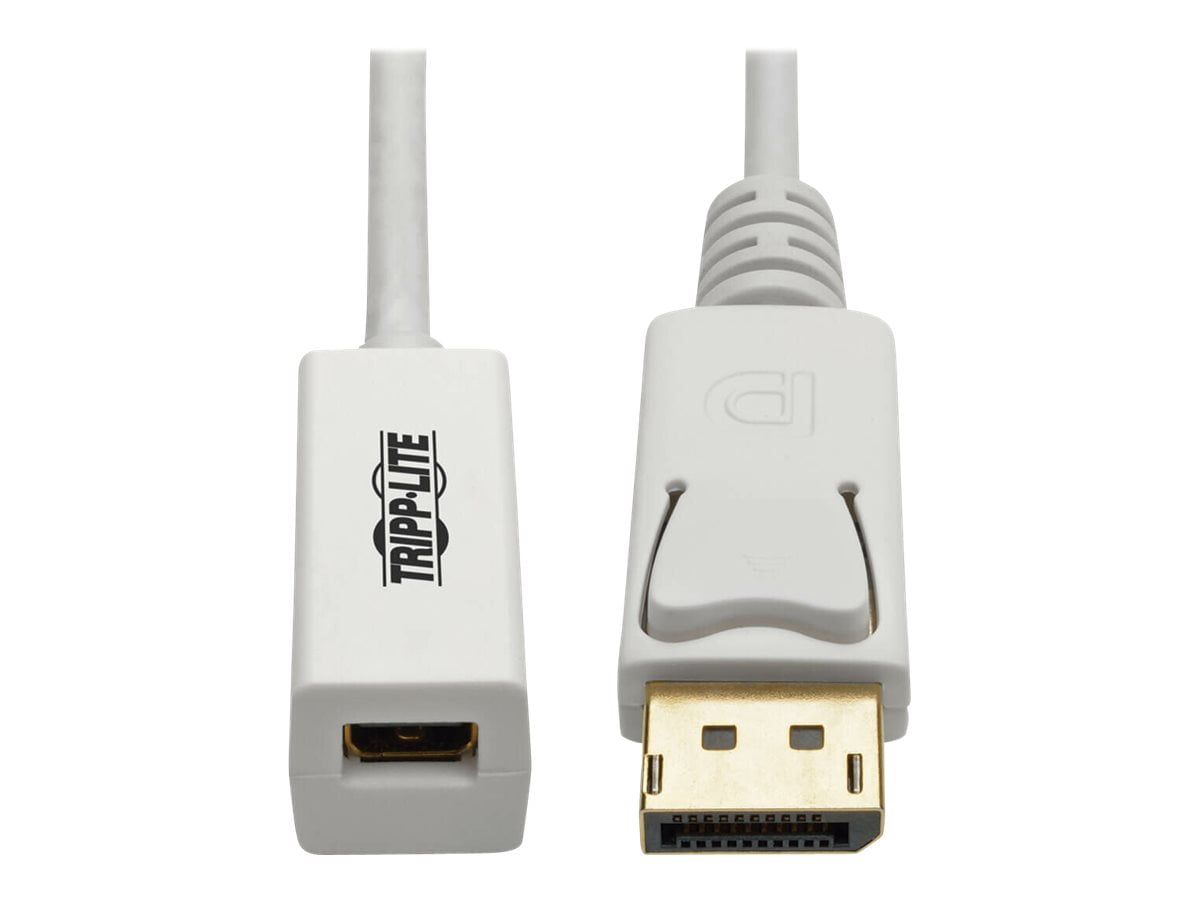 Tripp Lite 6" DisplayPort to Mini DisplayPort Cable Adapter (M/F ...
