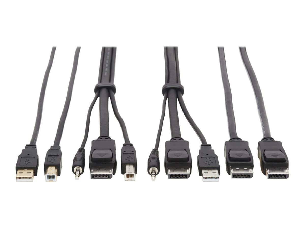 Tripp Lite 10ft 4K DisplayPort KVM Cable Kit P783010DPU - Walmart ...