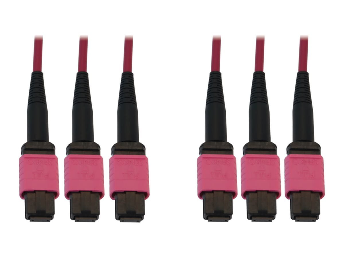 Tripp Lite Fiber Optic Cable 40/100/400G MMF 50 OM4 3x8F MTP/MPO-PC F/F ...
