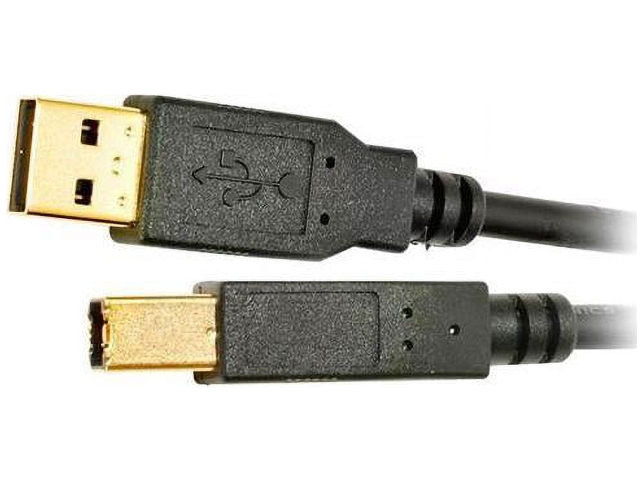 Tripp Lite U022-006 Black USB 2.0 Cable - Walmart.com