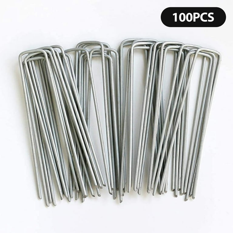6 inch nails store