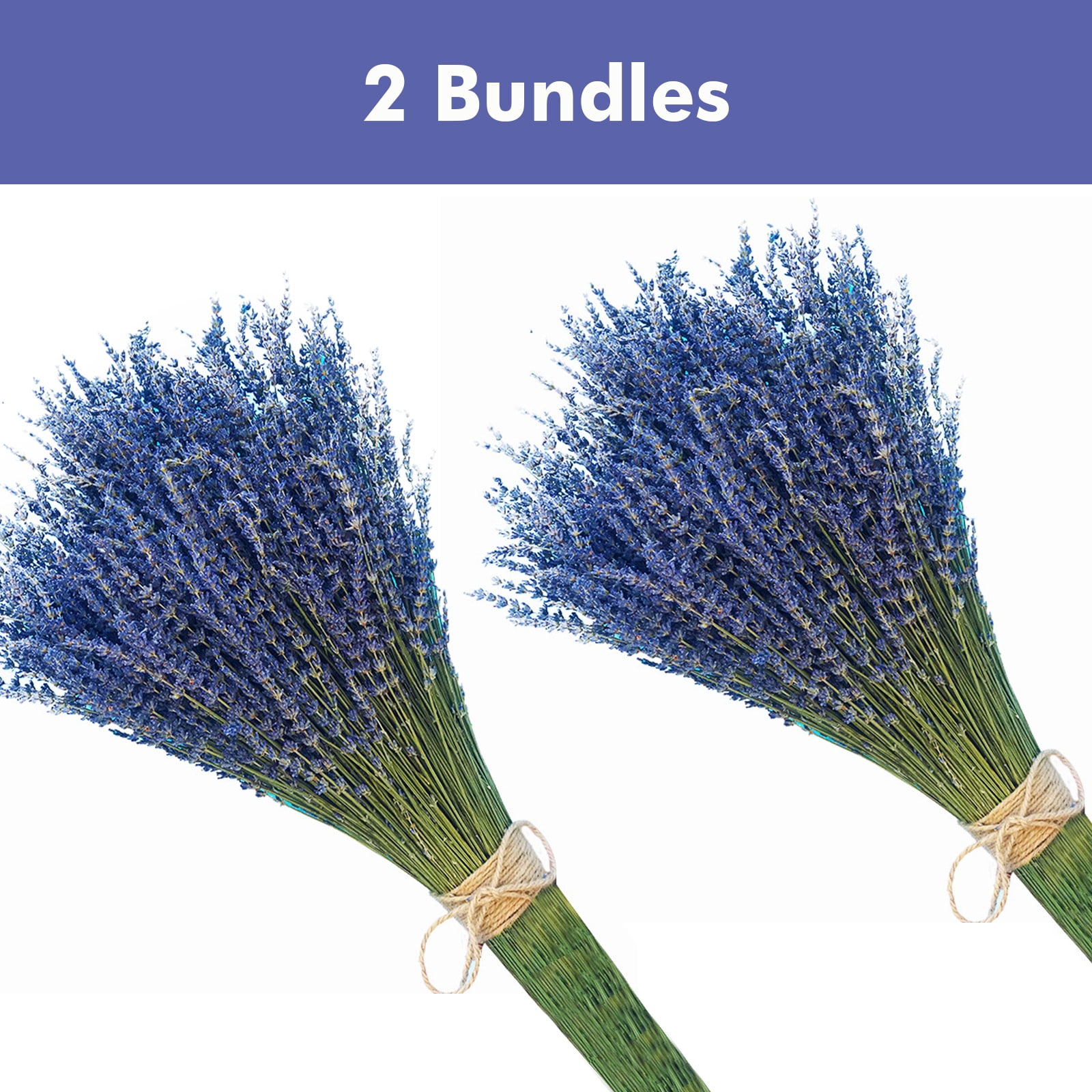Tripumer Dried Lavender Bundles 2 Bundles Pack 100% Natural Dried ...
