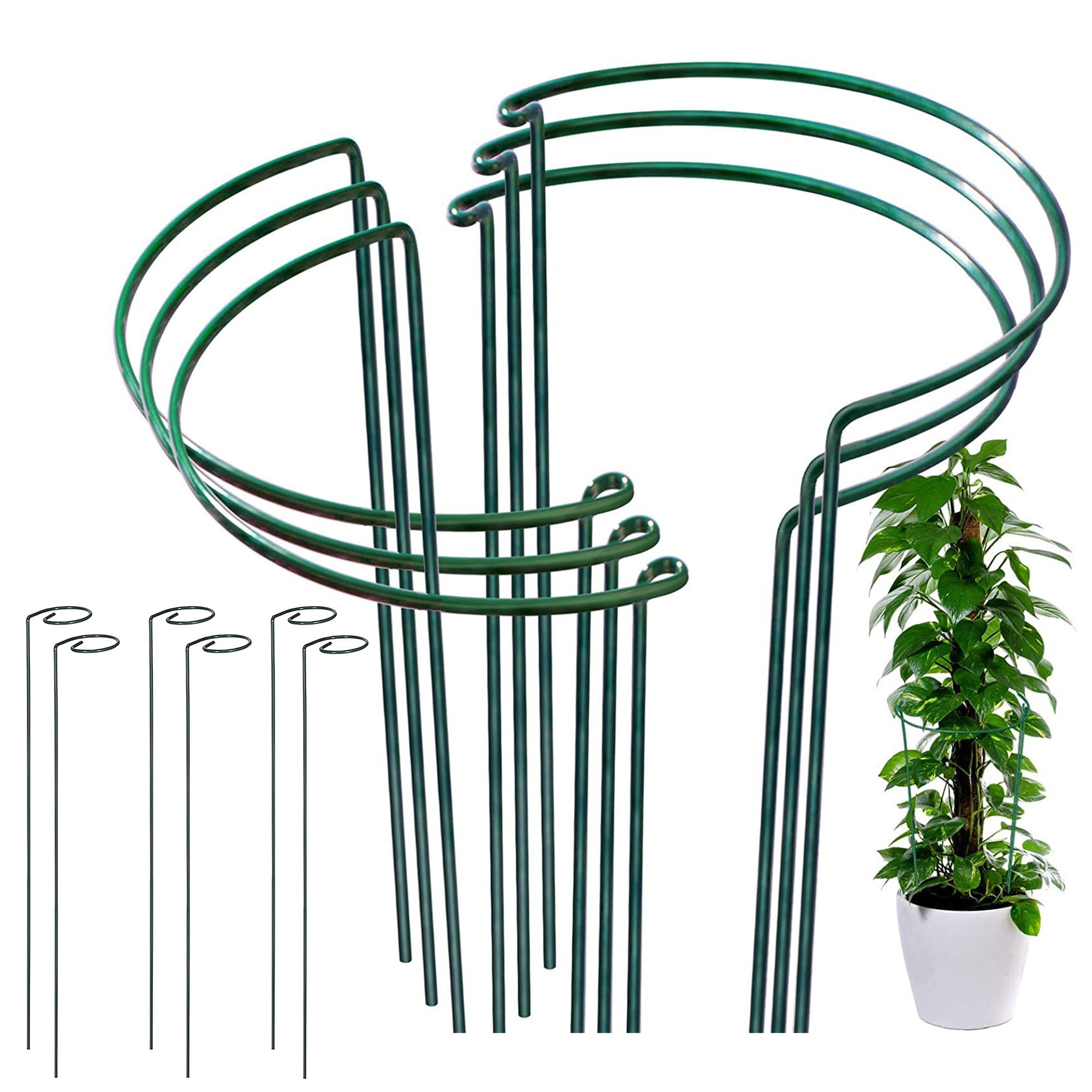 Tripumer Plant Stakes, 6Pack Metal Cage Rings & Stem Support, for ...