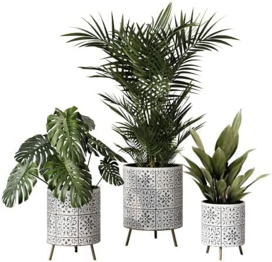 Tristan Neutral Minimal White and Black Modern Style Planter with Nyra ...