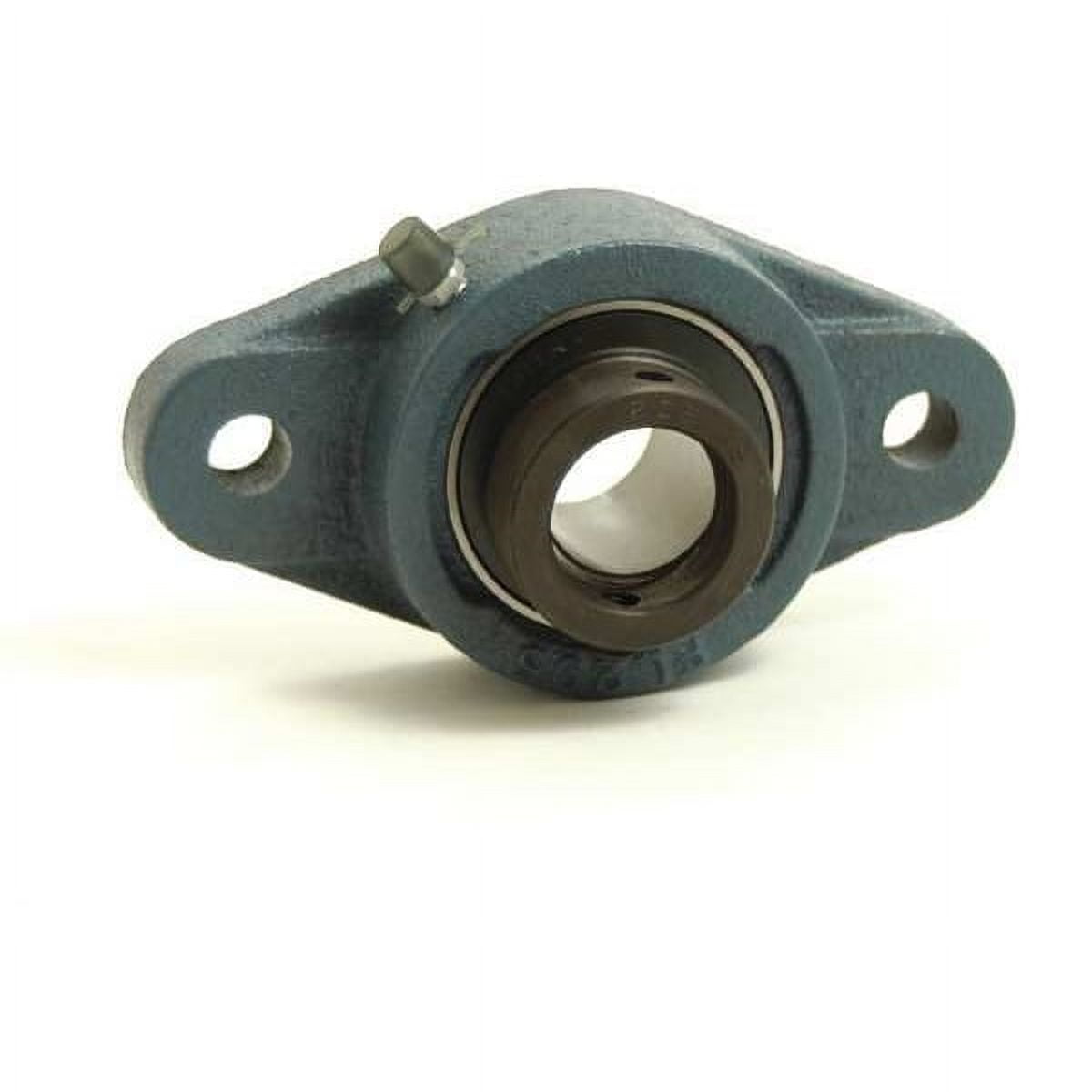 Tritan 2 Bolt Flange Brg,Radial Ball,3/4in Bore HCFLU204-12 - Walmart.com
