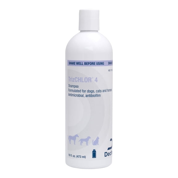 Shampoo De Caballo