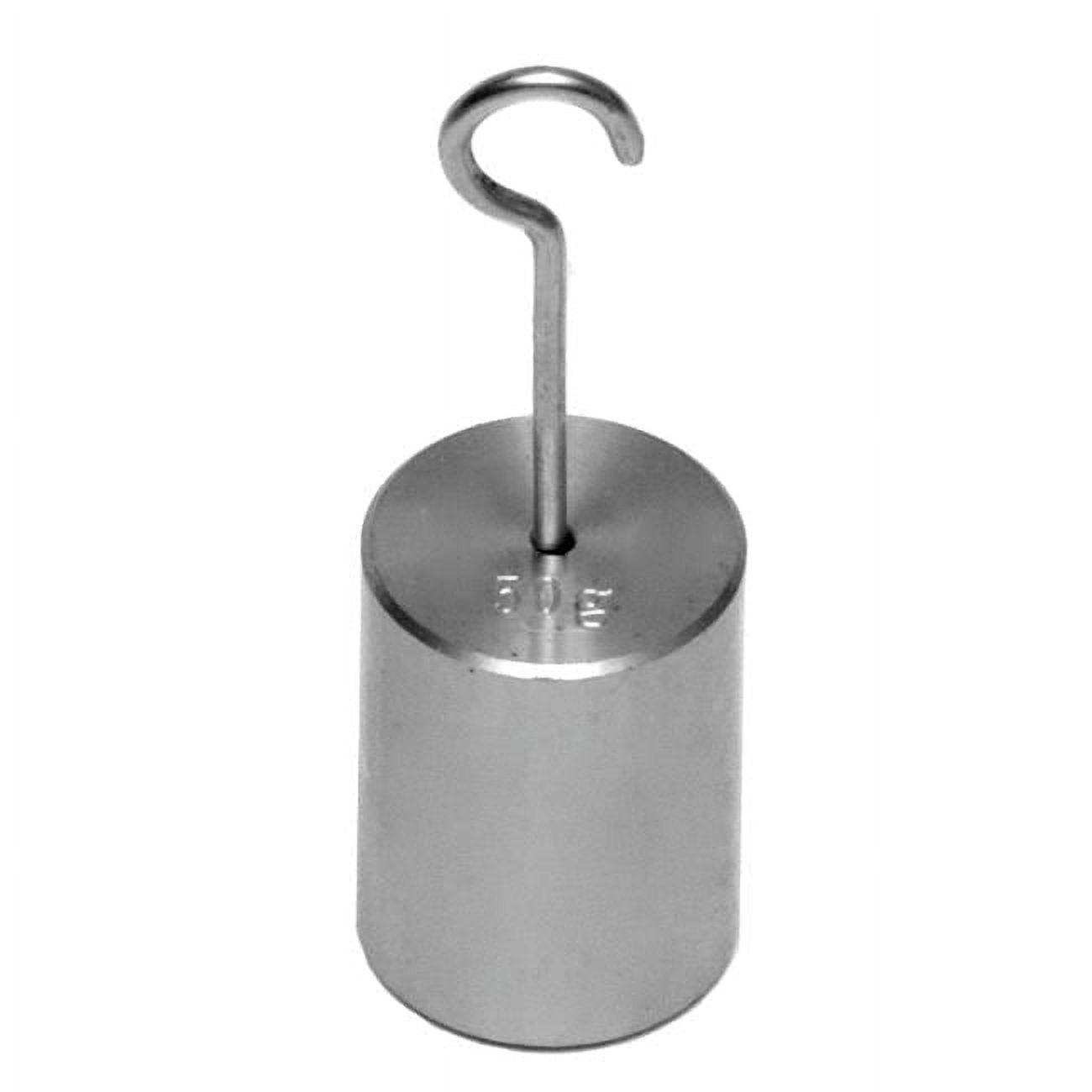 Troemner Stainless Steel Replacement Weight - 10 g - Walmart.com