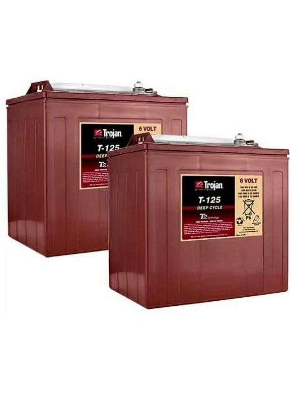 6 Volt Car Batteries in 6 Volt Batteries - Walmart.com